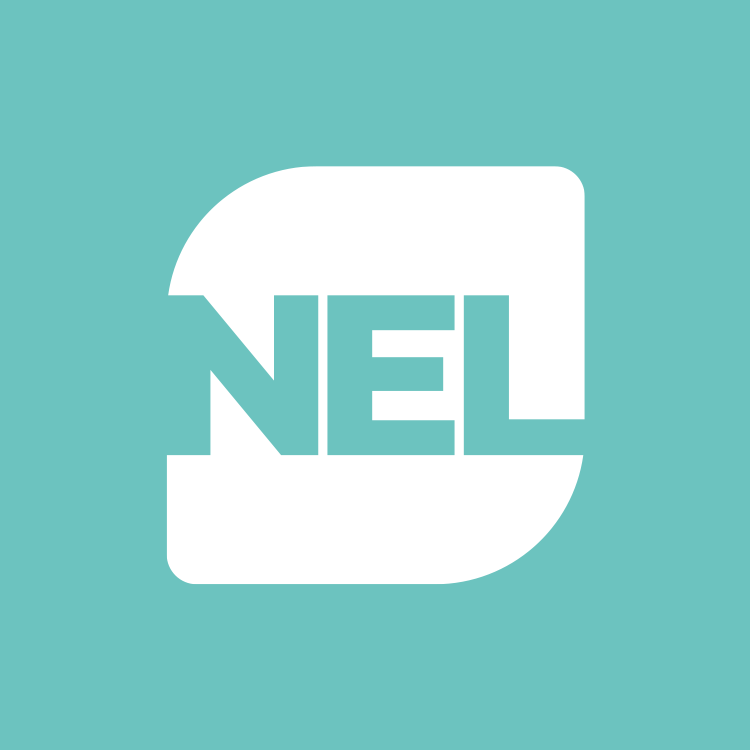 NEL Fund Managers - Allies Group